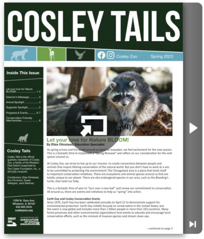 News & Media – Cosley Zoo