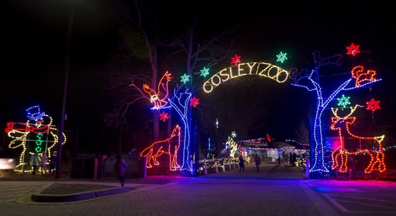 News & Media – Cosley Zoo