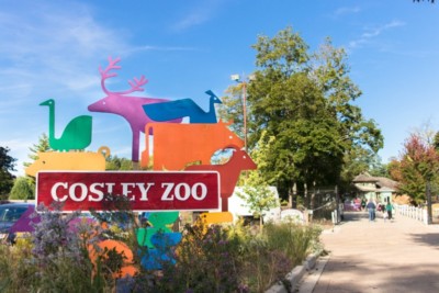 Plan Your Visit – Cosley Zoo