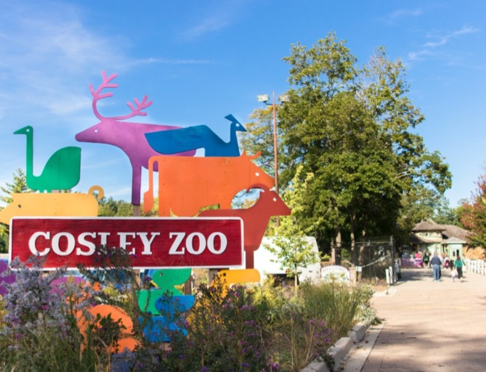 Summer 2022 Cosley Tails Newsletter – Cosley Zoo