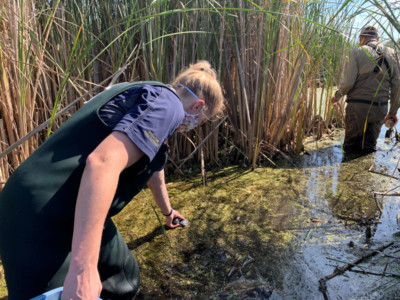 News & Media – Cosley Zoo