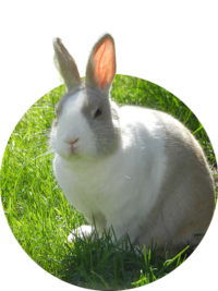 Cosley Zoo – A Lifetime of Inspiration Begins Here