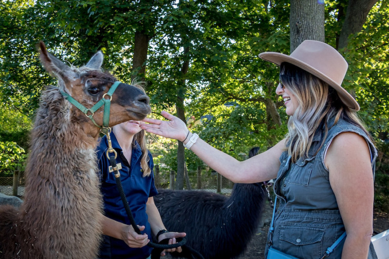 Cosley Zoo Uncorked 2021 Image Gallery – Cosley Zoo