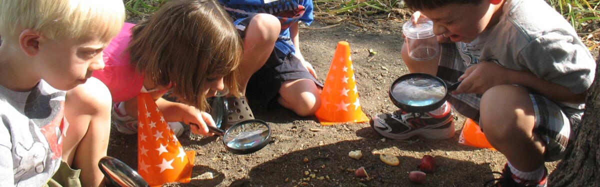 Cosley Zoo – A Lifetime of Inspiration Begins Here