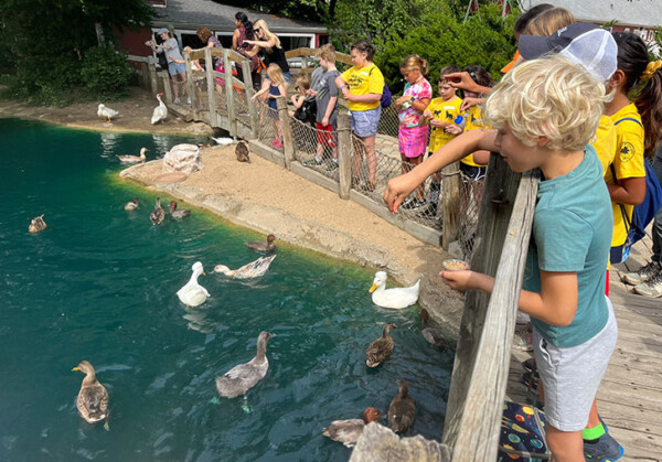 Get Involved – Cosley Zoo